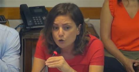 El Fuerte Cruce Entre La Diputada Vanesa Siley Y Mario Negri “no Le Concedo La Palabra Por