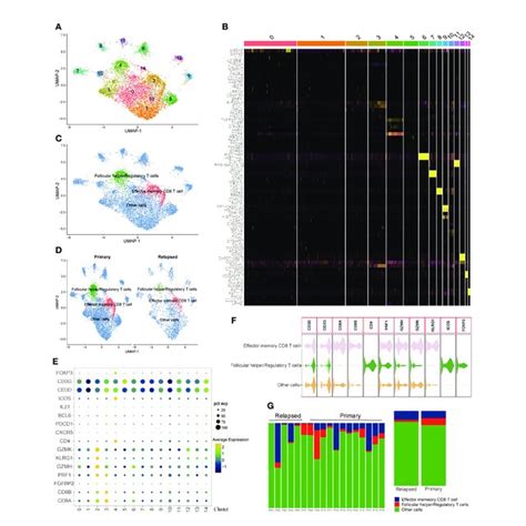 Visualization Plots Of T Cell Scrna Seq Data A Umap Plot Of 5415 Download Scientific