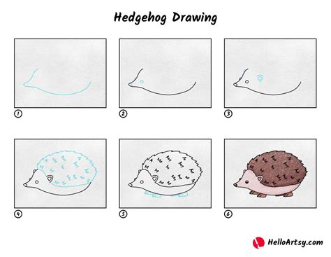 How To Make Hedgehog Step By Step