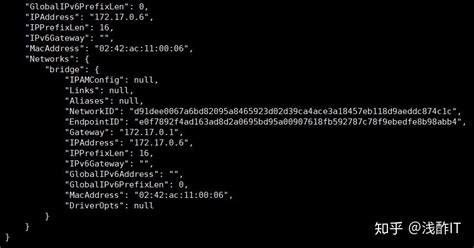 docker安装 eskibana 和kibana 连接不上es 解决 知乎