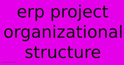 Erp Project Organizational Structure