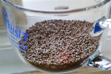 들깨가루 만드는법 통들깨볶기 통들깨볶는방법 집에서 들깨 볶는 방법