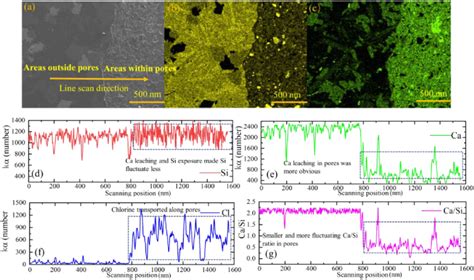 High Resolution Line Scan And Area Scan Results Of Sem Eds A A Download Scientific Diagram
