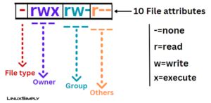 Bash Scripting Tutorial