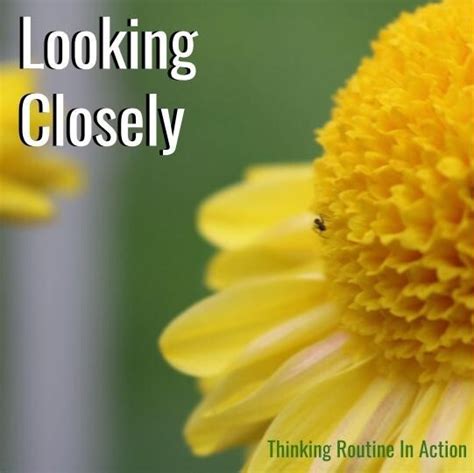 Collections Thinking Routines Demo Smithsonian Learning Lab