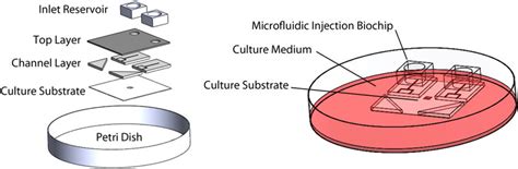 An Exploded Assembly And Overall Diagram Of The Microfluidics Based