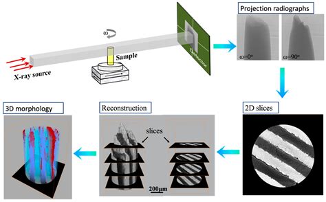 3d Visualized Characterization Of Fracture Behavior Of Structural Metals Using Synchrotron