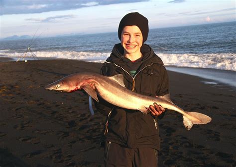 Mudshark Tours 2026 All You Should Know Before You Go W Reviews