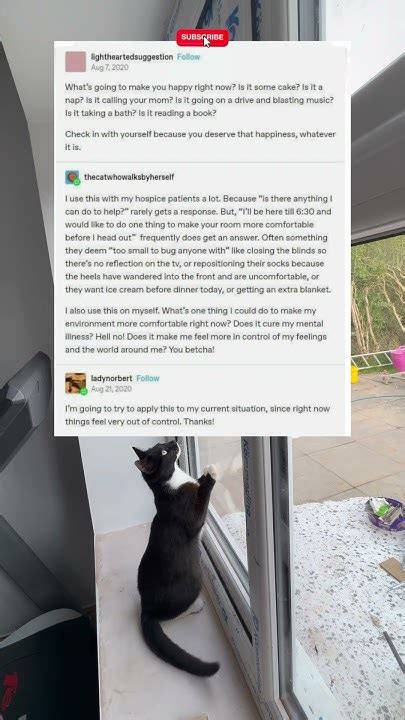 Whys Going To Make You Happy Right Now Growwithoreo Youtube