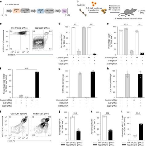 Sarah Jenness On Linkedin X Chime Enables Combinatorial Inducible Lineage Specific And