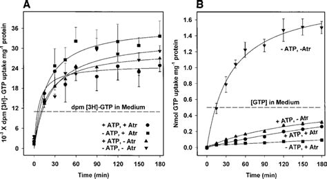 Effect Of Atractyloside Atr And Atp On Uptake Of 3 H Gtp Download Scientific Diagram
