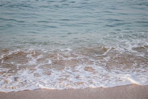 Gaurav Panchal Canva