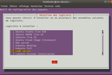 Installer Apache Php Mysql Sur Un Os Ubuntu Bitsparadise