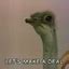 Opensourceprogramming Tumblr Tumbex