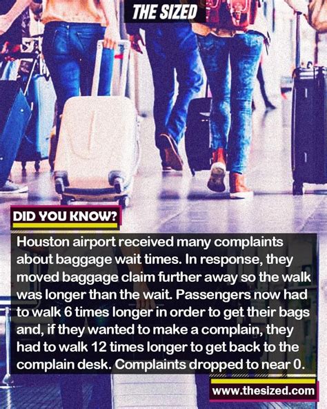 Does Anyone Know Position Level Hierarchy At Siemens Is Position 11