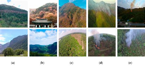 figure 1 from wildfire detection method using densenet and cyclegan