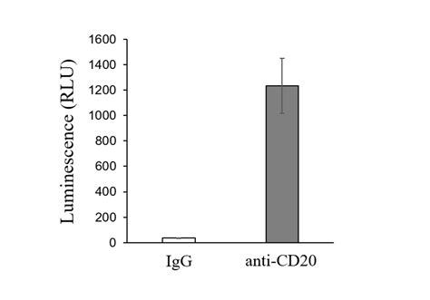 Cd16anfat Reporter Lentivirus Adcc Assay Lipexogen