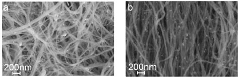 Comparison Between Different Cnt Based Structures A Randomly Oriented