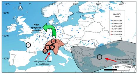 Spatial Distribution Of Within Population Allelic Diversity Associated