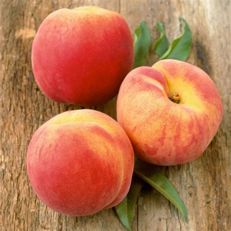 Peach Ruby Sensation