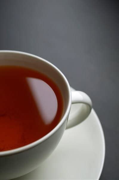 Buy Grow Your Own Tea Or Camellia Sinensis Var Sinensis Camellia