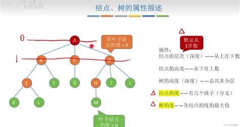 数据结构 树的定义和基本术语 csdn博客