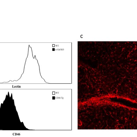 Telemetry Interpretations A Typical Measurement Of Telemetry Readings