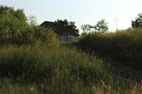 Premium Photo A House In The Grass
