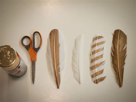 How To Spray Paint Feathers At Genevieve Tarrant Blog