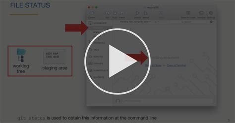 sourcetree commit to a local repository coursera