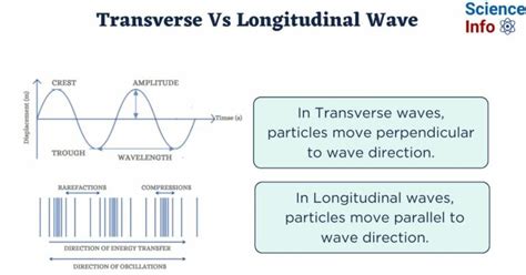 Difference Between Transverse And Longitudinal Wave