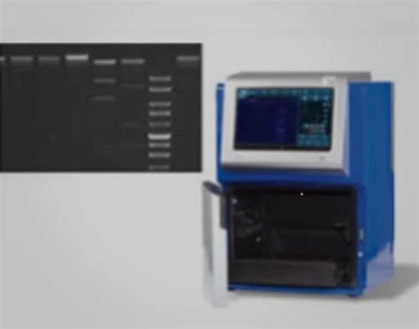 Gel Documentation System Gel Documentation From Lucknow