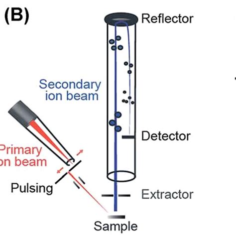 Workflow Of Scm Analysis That Consists Of Data Pretreatment And Download Scientific Diagram