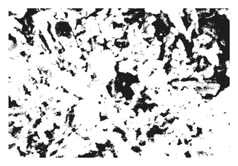 sem binary image under different ultrasonic frequencies a 16 khz