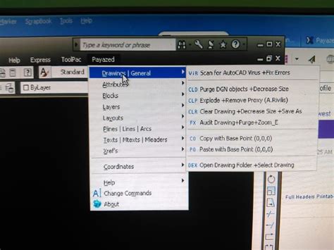 program autolisp and script for autocad by payazed fiverr