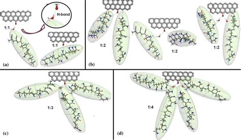 Schemes Of Dipolar Pair Formed By Co And Pam Download Scientific Diagram
