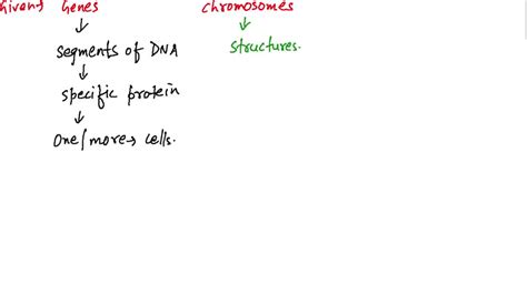 Solvedwhat Is The Difference Between A Gene Tree And An Organismal