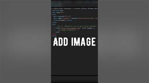 Html Part3 Code Codelife Programming Tags Developer Htmlcss