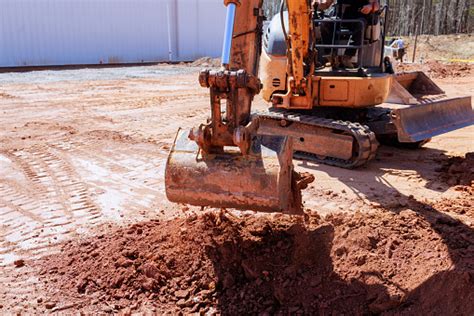 굴삭기는 낮에 숲이 우거진 지역의 건설 현장에서 흙을 옮깁니다 45 49세에 대한 스톡 사진 및 기타 이미지 45 49세 건물 외관 건설 기계류 Istock