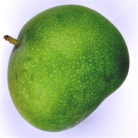 mango fruit object detection model by fruitmango