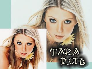 Hollywood Movies Stars Tara Reid Wallpaper Vi