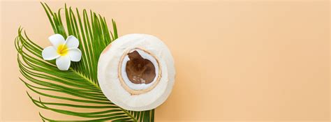 파스텔 오렌지 배경에 야자잎 플루메리아 꽃과 코코넛 상단보기 모형 오버 헤드 복사 공간이있는 플랫 레이 이미지 여름과 열대 개념 0명에 대한 스톡 사진 및 기타 이미지