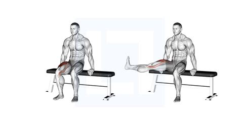 Chair Leg Extended Stretch Guide Benefits And Form