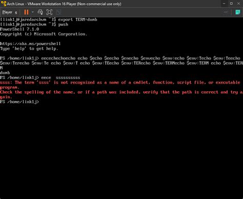 Avoid Using Escape Sequences Tricks When Termdumb · Issue 14594