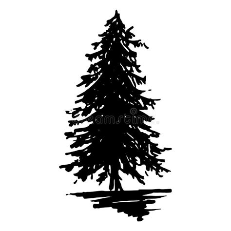 Pine Tree Continuous Line Drawing Art Simple Forest One Line Drawing