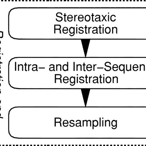 Flow Diagram Of The Automatic Lesion Quantitation Pipeline Download