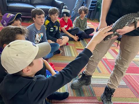 St St Bridgets Catholic Primary School North Balwyn