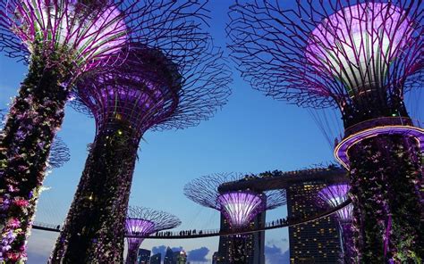 Jardines De La Bahía Un Espectacular Parque En Singapur