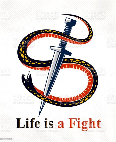 단검은 뱀을 죽이고 뱀을 물리 치며 칼 벡터 빈티지 문신을 감싸고 인생은 싸움 개념이며 삶은 장미 우화 로고 또는 고대 상징의 상징이 없습니다 검에 대한 스톡 벡터 아트 및