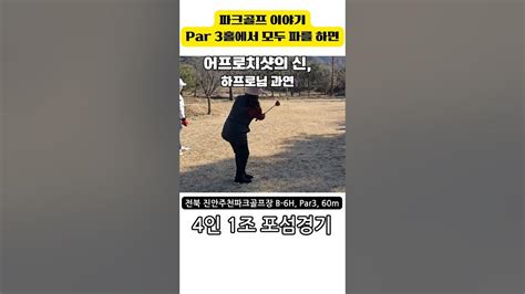 파크골프 파3에서 All 파하면 파크골프치는법 포섬 Park Golf Youtube